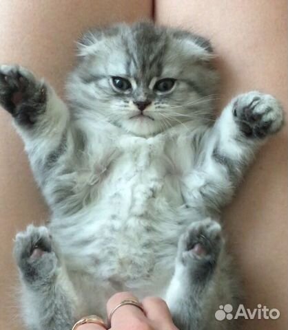 Озорные мальчуганы