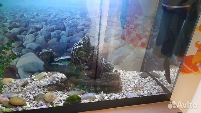 Аквариум 135л с крышкой