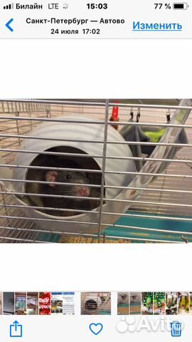 Пристраивается декоративная крыска, с клеткой, нау