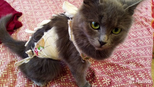 Малышка с зелеными глазками