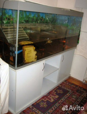 Акватеррариум с красноухими черепахами