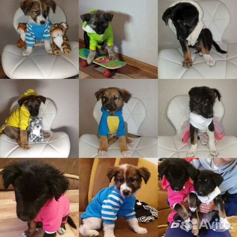 Чудесные малыши