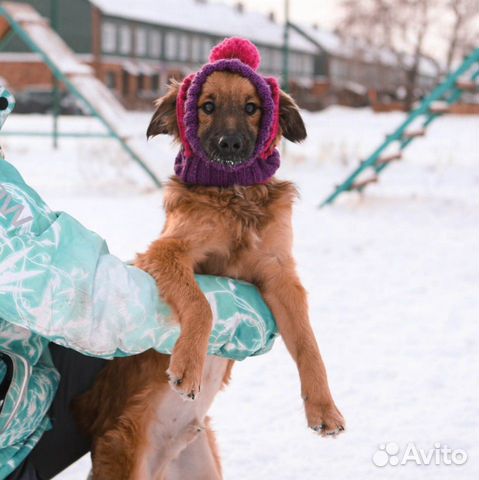 Весёлый Жак