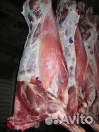 Быки в тушах,баранина домашняя свинина