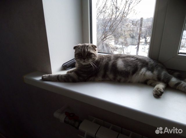 Красавчик