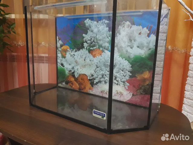 Аквариум