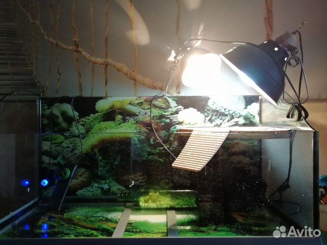 Аквариум