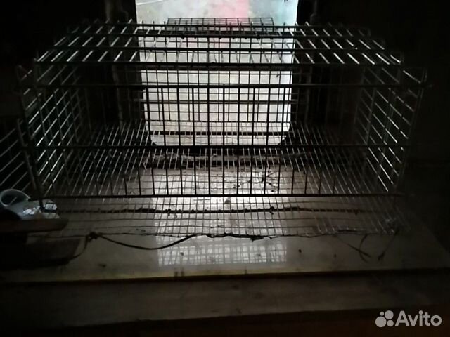 Клетка для перепелов