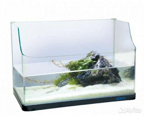 Паллюдариум jebo