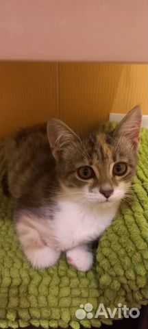 Самая лучшая девочка