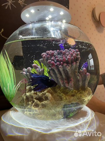 Аквариум Tetra Cascade Globe белый