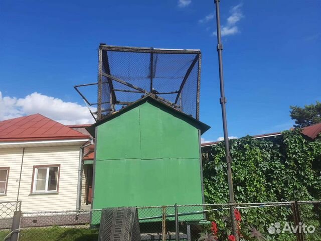 Продам голубятню