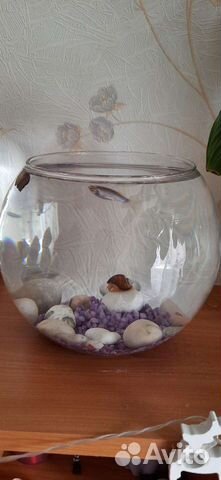Аквариум круглый с рыбкой