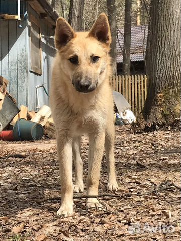 Подросток мальчик 8 месяцев