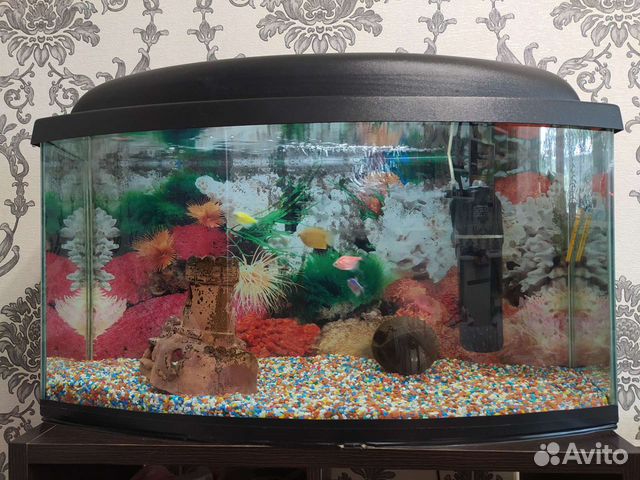 Аквариум