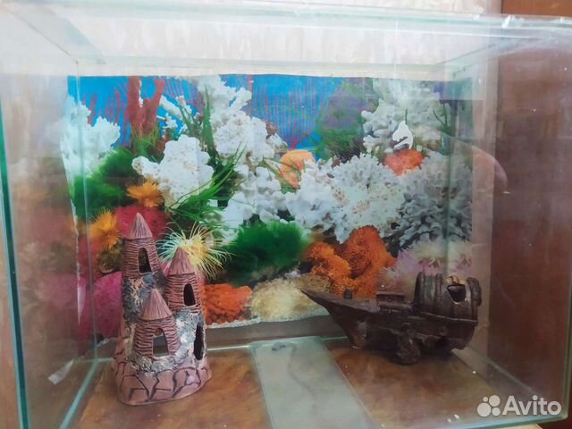 Аквариум 100л и украшения для аквариума