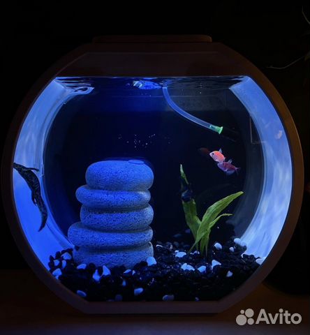 Аквариум Триол Deco o Mini UPG, 10л