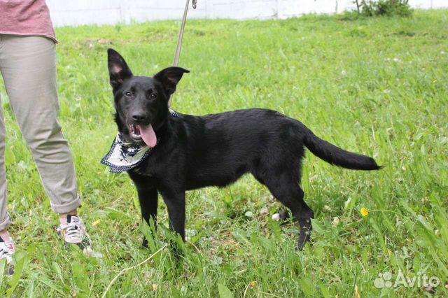 Для кого то она станет целым миром