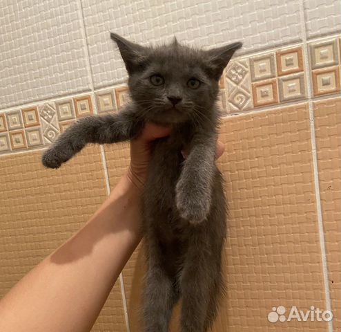 Маленькие дымочки