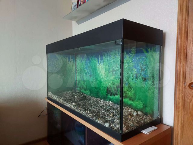 Аквариум 320л
