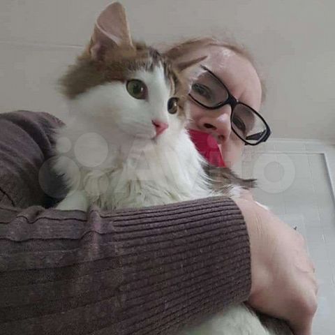 Котинька Арсений в дар