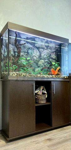 Аквариум целиком