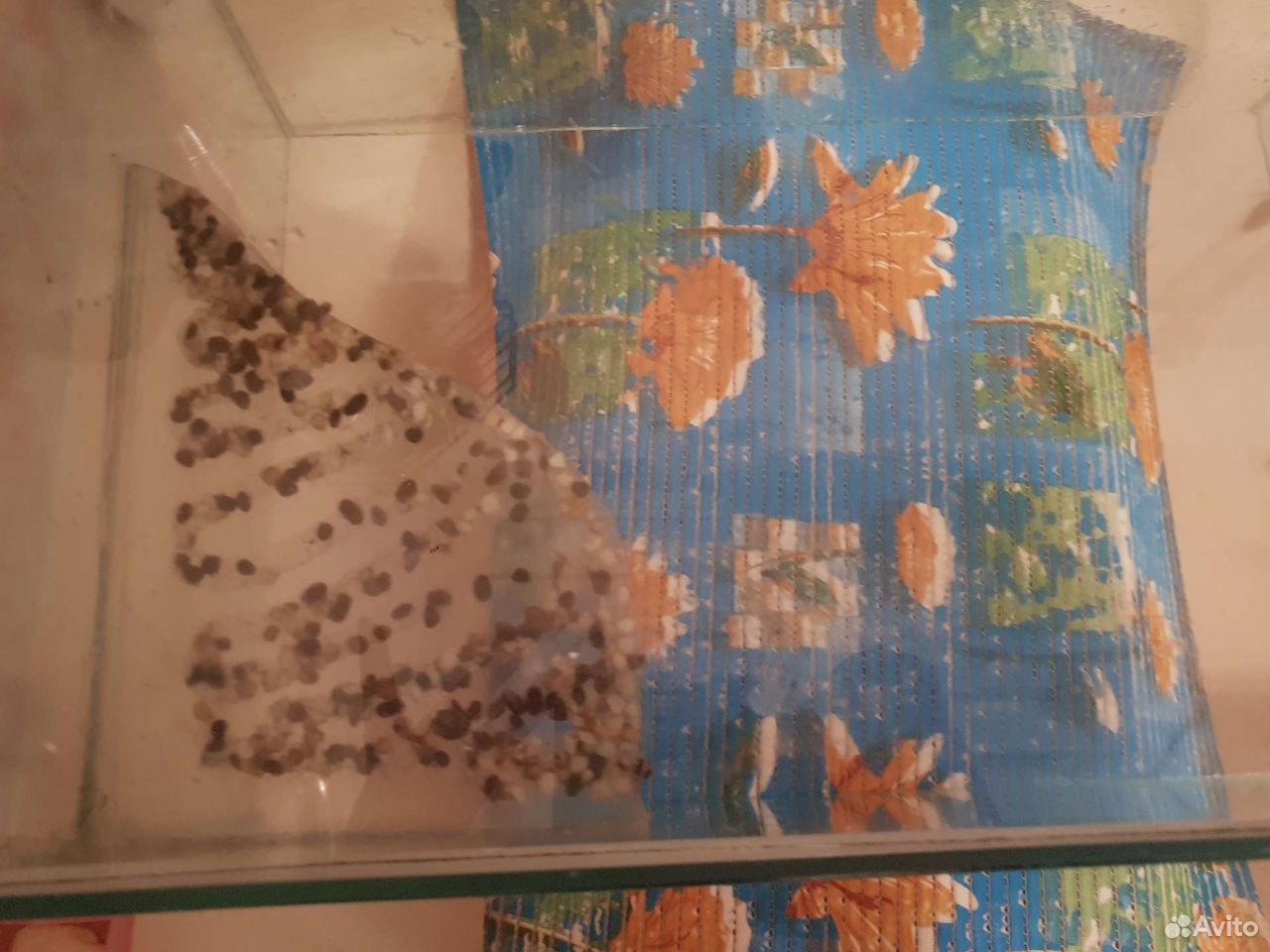 Аквариум для красноухой черепахи