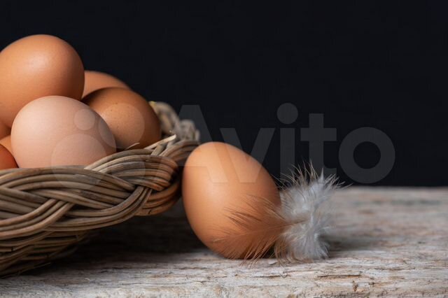 Инкубационное яйцо цветного бройлера